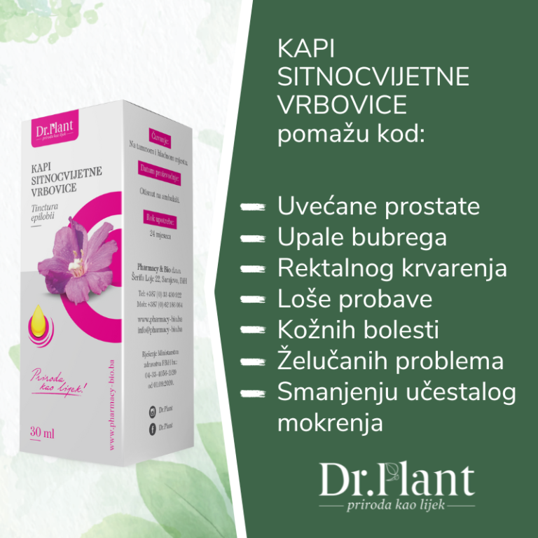 Dr. Plant kapi sitnocvjetne vrbovice (Epilobium parviflorum) 30ml - Pharmacy & BIO